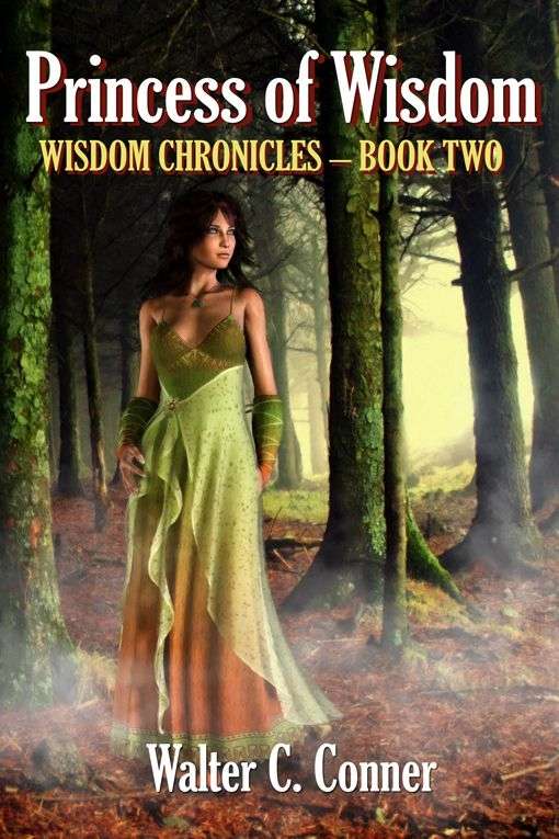 Princess Of Wisdom - Double Dragon Publishing | DriveThruRPG
