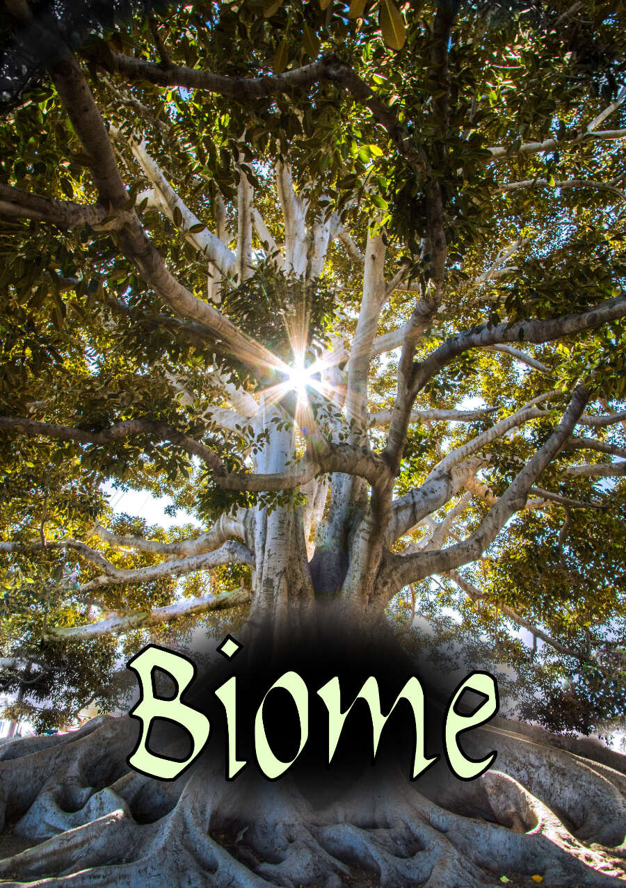Biome - Black Armada | DriveThruRPG