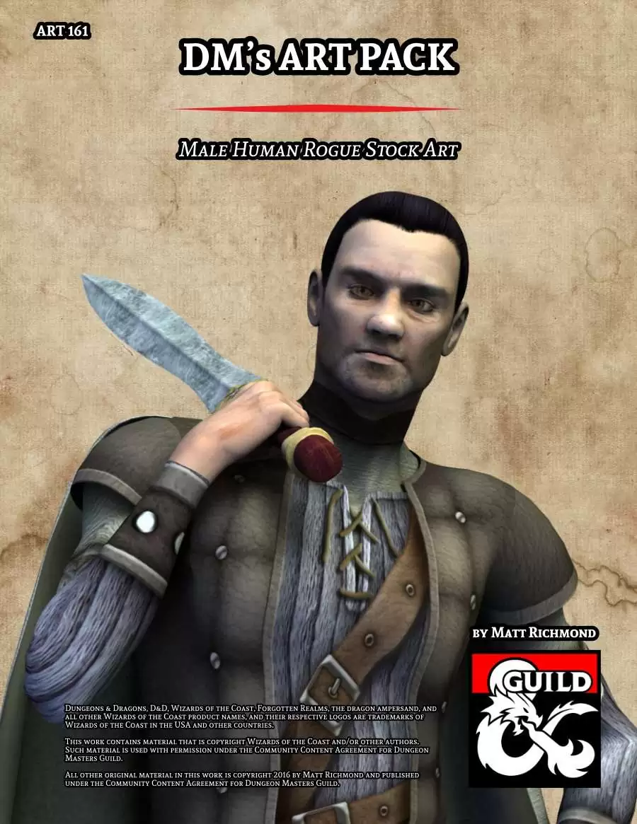 ART161 Male Human Rogue - Dungeon Masters Guild | DriveThruRPG