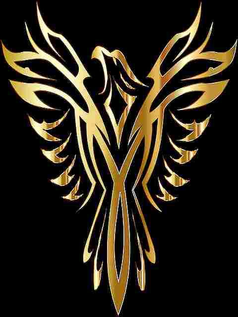 Phoenix Born Race - Dungeon Masters Guild | DriveThruRPG