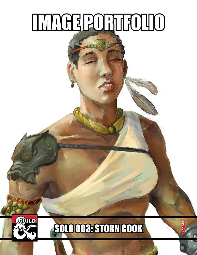 Image Portfolio Solo 003: Storn Cook - Dungeon Masters Guild | DriveThruRPG