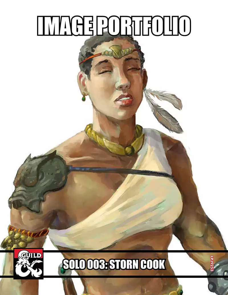 Image Portfolio Solo 003: Storn Cook - Dungeon Masters Guild | DriveThruRPG