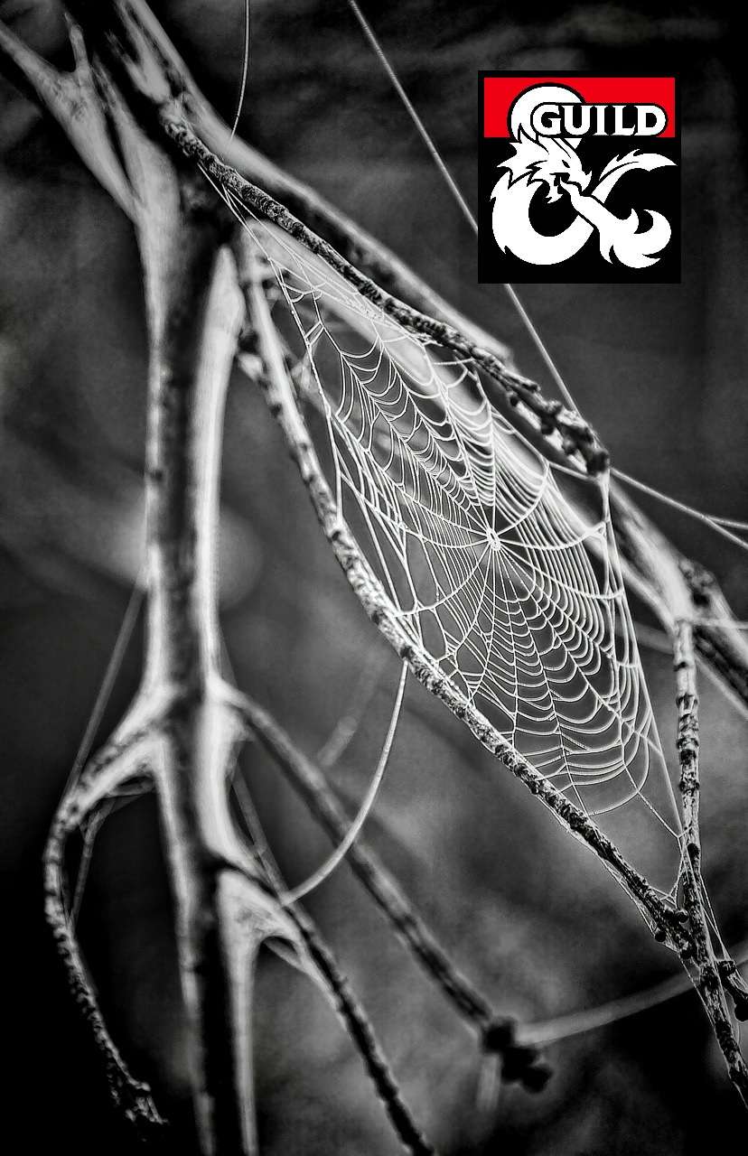 Spider Ranger Conclave - Dungeon Masters Guild | DriveThruRPG