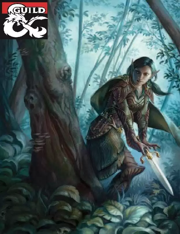 Druid: Circle of the Warrior - Dungeon Masters Guild | DriveThruRPG