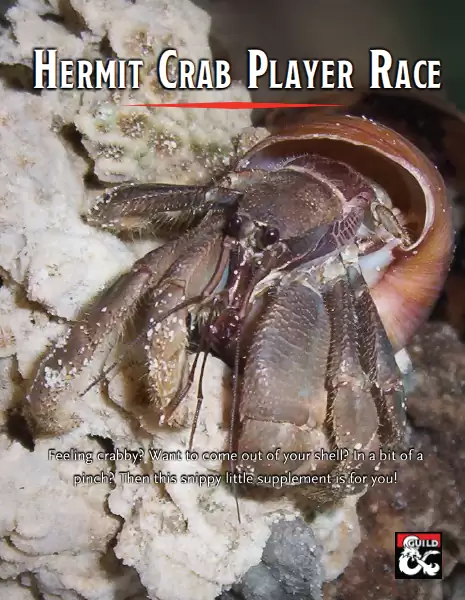 Hermit Crab Player Race - Dungeon Masters Guild | DriveThruRPG