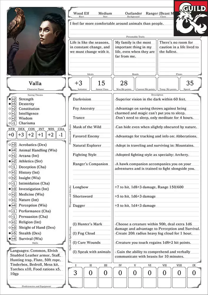Character sheet template for premade PCs - Dungeon Masters Guild ...