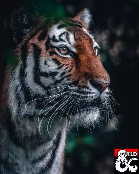 One-Shot Tutorial for Beginners - Dungeon Masters Guild | DriveThruRPG