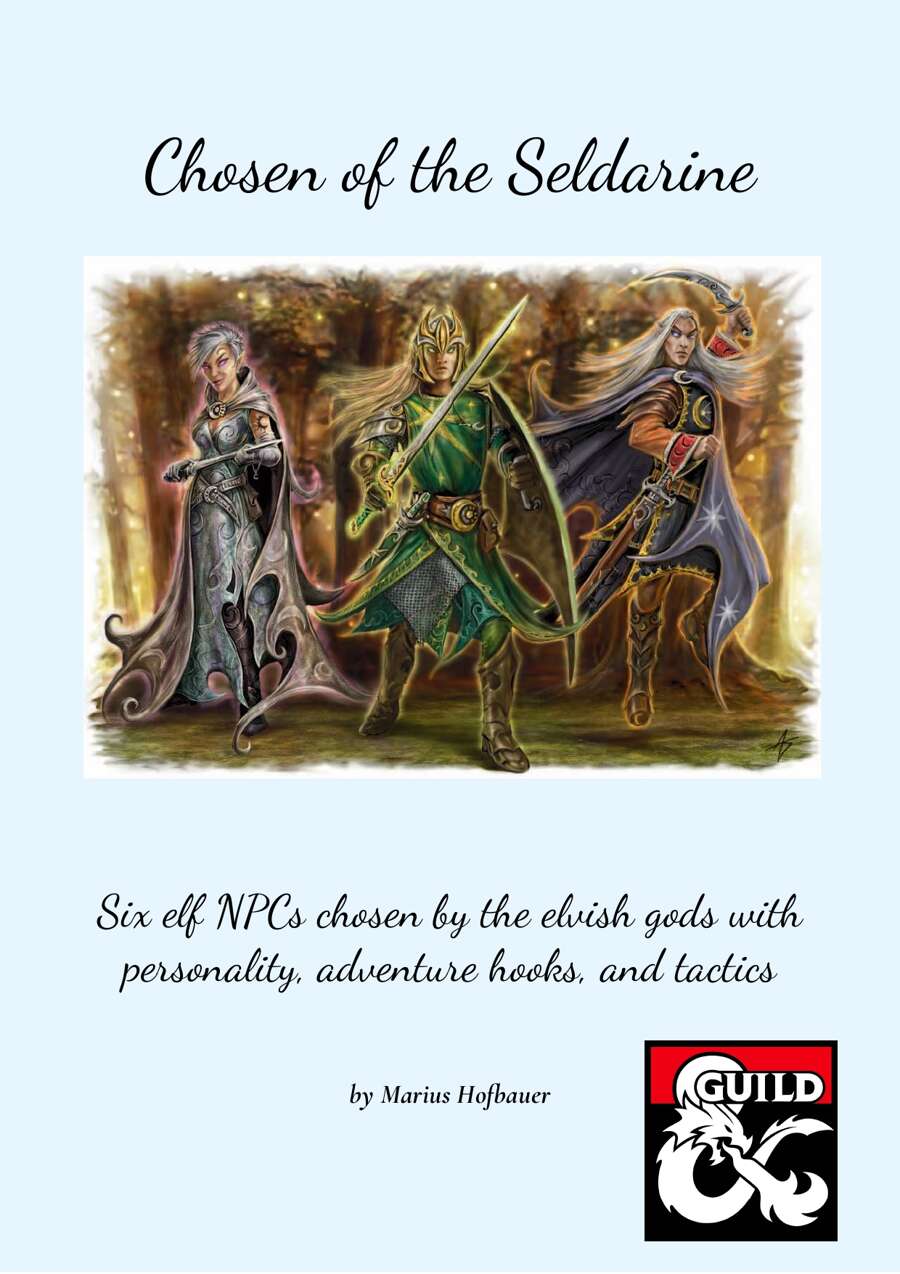 Chosen of the Seldarine - Six elf NPCs chosen by the elvish gods with ...
