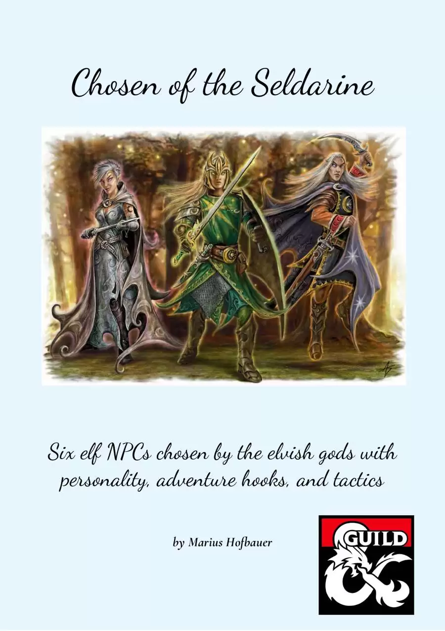 Chosen of the Seldarine - Six elf NPCs chosen by the elvish gods with ...