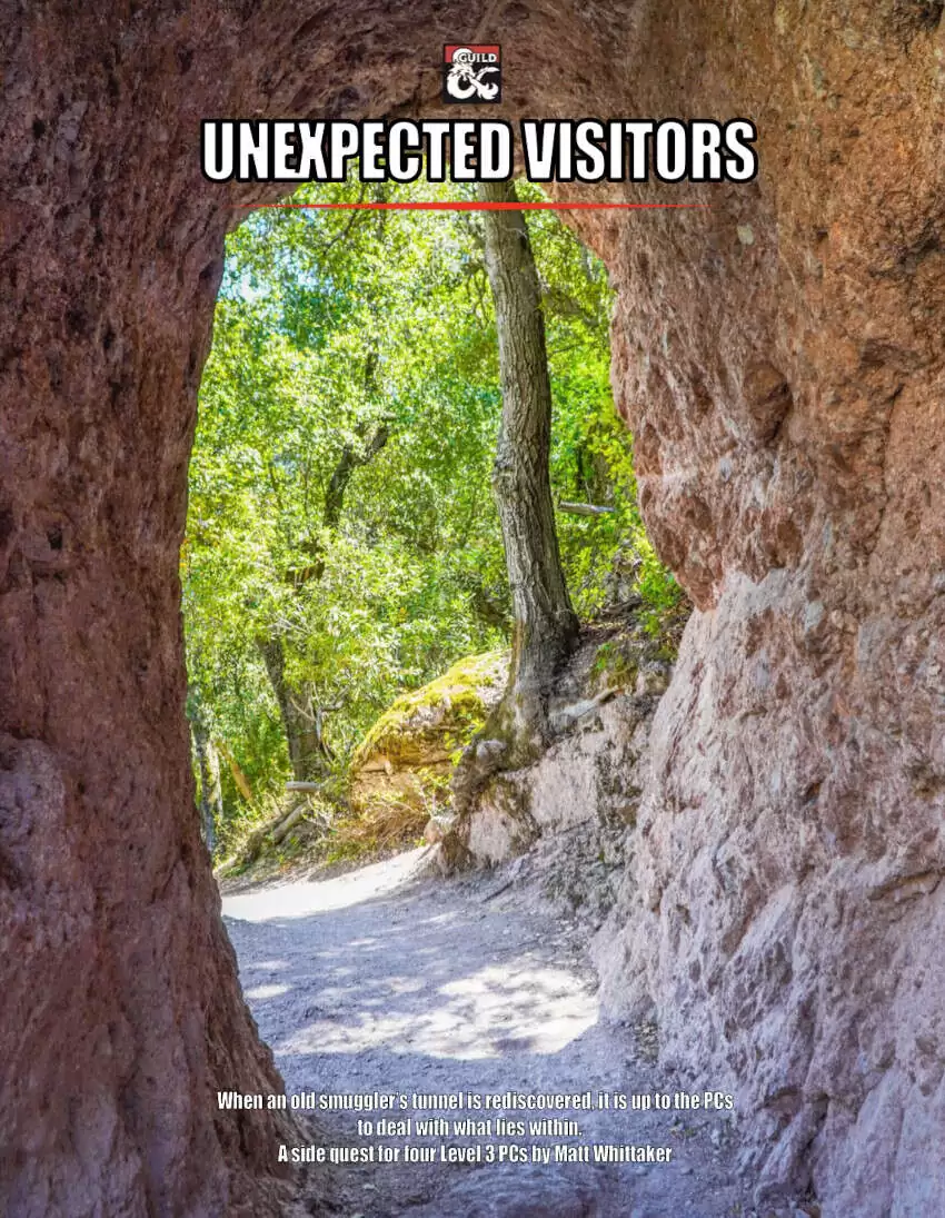 Unexpected Visitors - Dungeon Masters Guild | DriveThruRPG