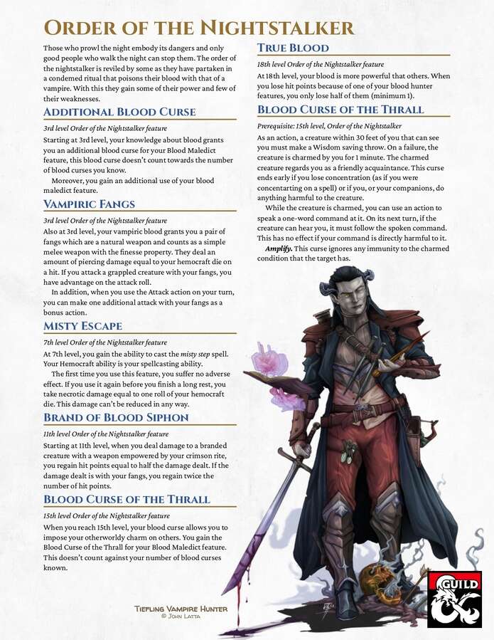 Blood Hunter - Order of the Nightstalker - Dungeon Masters Guild ...