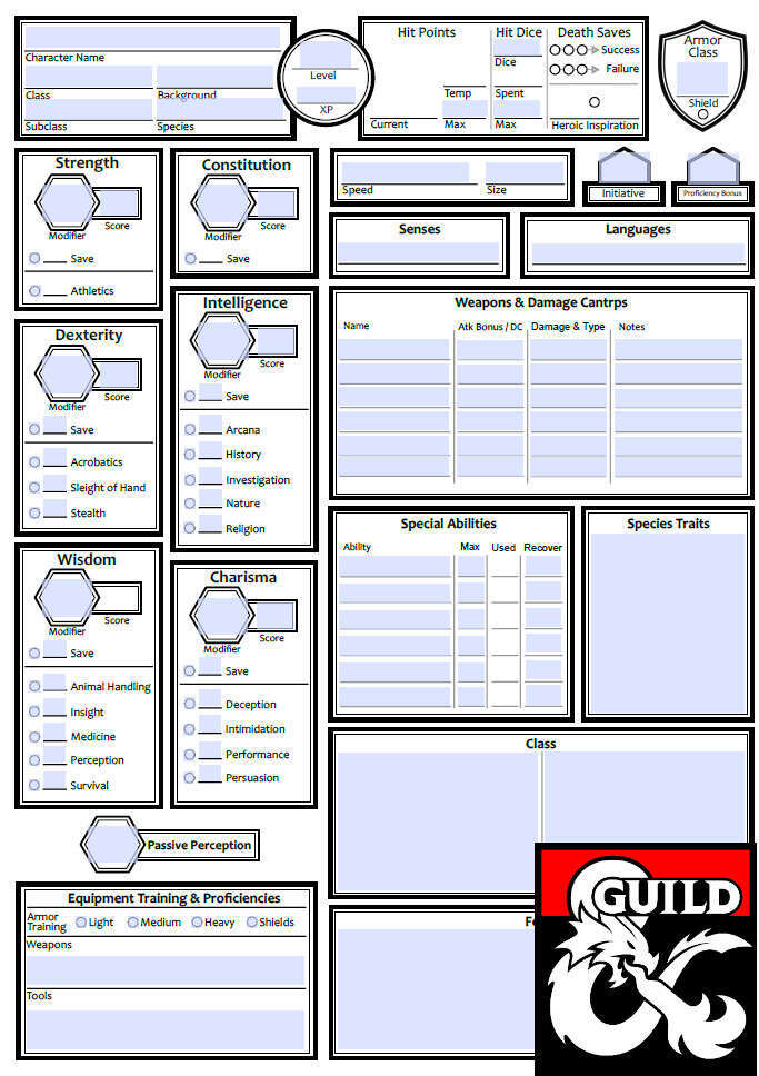 Character Sheet for One D&D (2024) - Dungeon Masters Guild | DriveThruRPG