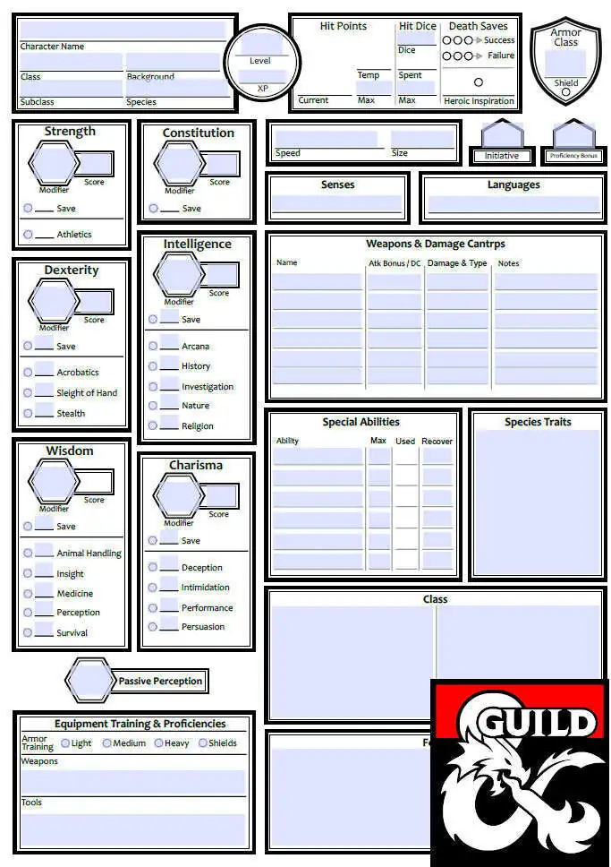 Character Sheet for One D&D (2024) - Dungeon Masters Guild | DriveThruRPG