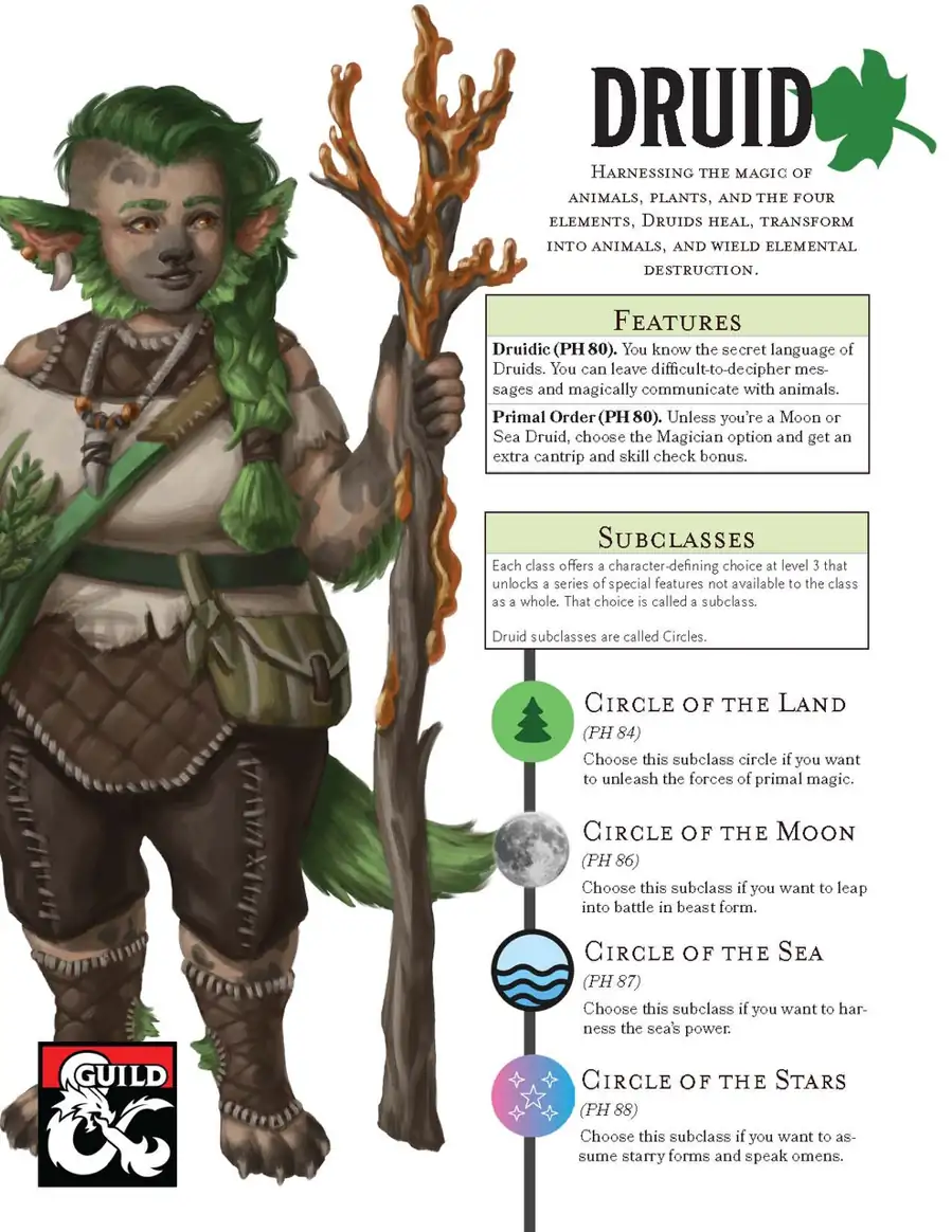Visual Guide to Druids (2024) - Dungeon Masters Guild | DriveThruRPG